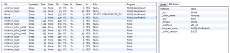 Java Mysql Connection With Advanced Attributes Such As Programname