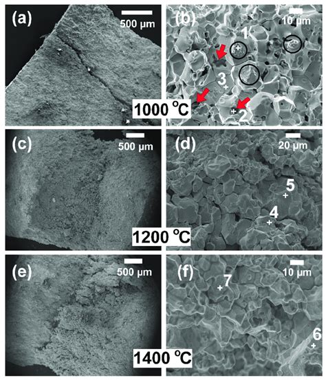 Sem Micrographs Of Fractured Surfaces From Compression Test At A B