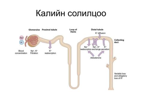 Hyperkaliemia Pptx