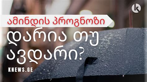 როგორი ამინდია მოსალოდნელი საქართველოში 25 იანვარი Knews Ge