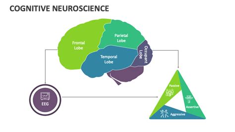 Cognitive Neuroscience PowerPoint And Google Slides Template PPT Slides