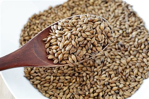 알곡 보리차 유토이미지 상세페이지 베이직샵 사진 20893602