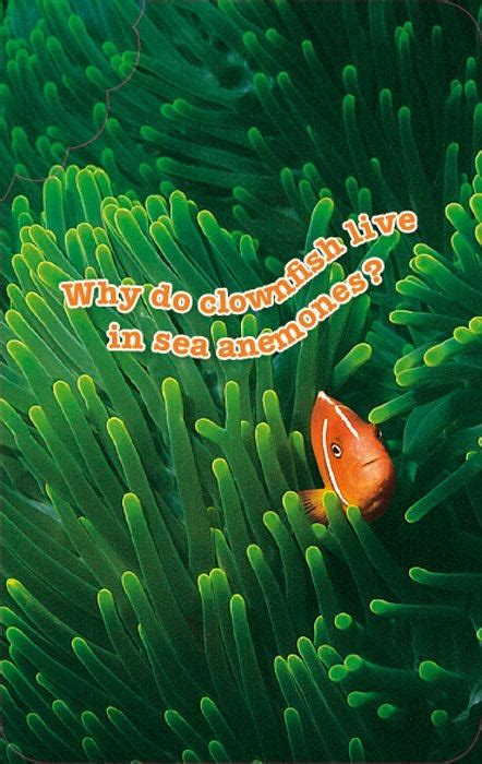 Bite Size Activity Flashcards A To Z Educational Resources