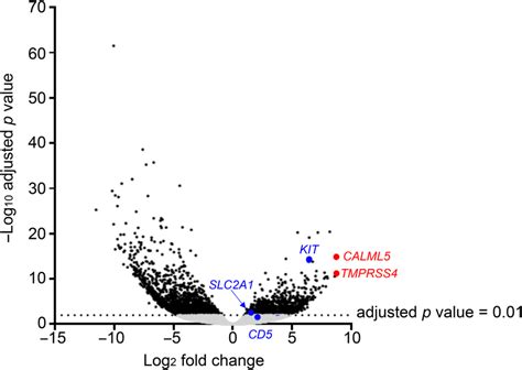 Promoter‐level Expression Analyses Between Thymic Squamous Cell Download Scientific Diagram