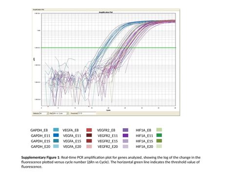 Pcr Amplification Graph
