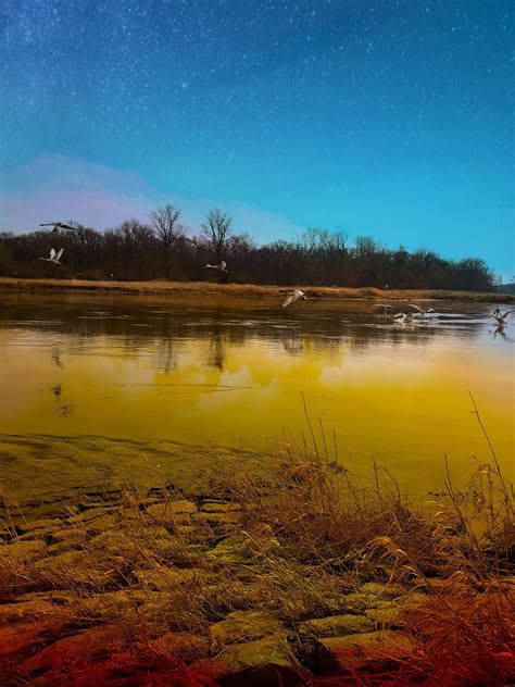 강 밤 별이 빛나는 하늘 Pixabay의 무료 사진