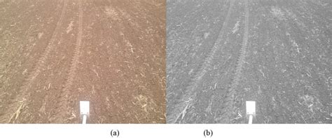 Filtering The Image Using Gaussian Filtering From Left To Right A Download Scientific