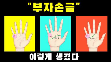 부자손금 이렇게 생겼다 죽을 때까지 절대 돈이 끊기지 않는 손금 돈복있는 손금 손금으로 운명과 미래를 알 수 있다 말년운 좋은 손금부자손금 Youtube