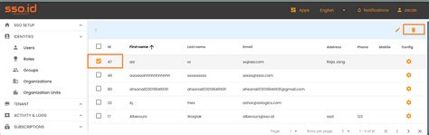 Documentation SSO ID