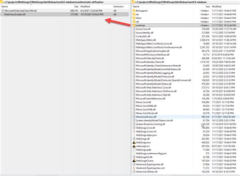 specific 6 0 desktop application won t launch from folder other