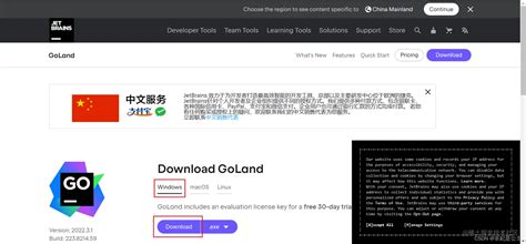 Windows下配置Golang开发环境并安装配置GoLand IDE 青训营笔记 分钟轻松在Windows下利 掘金