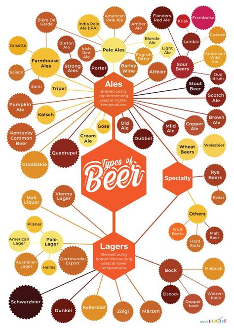 Different Types Of Beers Ales Lagers And More With Pictures Beer