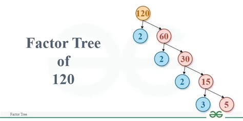 Factor Tree Geeksforgeeks