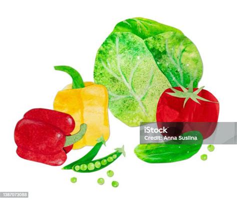 손으로 그린 수채화 야채 샐러드 구성 토마토 오이 양배추 녹색 완두콩 과 같은 신선한 재료 귀여운 그림 농민 시장 제품 디자인 스티커 또는 엽서 건강한 식생활에 대한 스톡