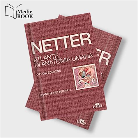 Netter Atlante Di Anatomia Umana 8th Edition Epub