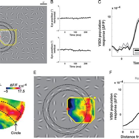 A Gaussian Model Can Explain The 1d Spatial Profile Of Contour