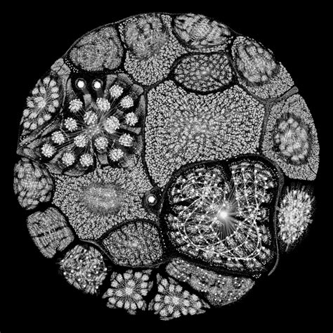 Graphcore Accelerating Machine Learning In The Cloud Kurt Cagle