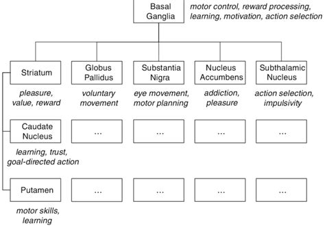 4 Example Of Descriptive And Explanative Theoretical Knowledge From