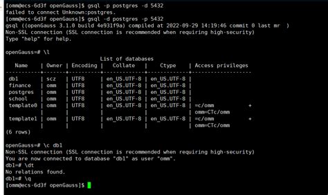 Opengauss安装使用（openeuler服务器）openeuler 安装opengauss Csdn博客