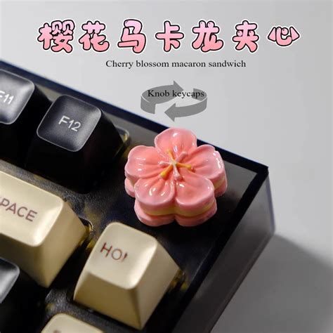 Sb703b445547b426db20372c8e1b72a366 