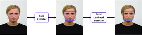 Sequence Of Steps Used For Face Detection And Landmark Localization Download Scientific Diagram