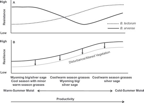 Resistance To Invasive Annual Brome Grasses A And Resilience To