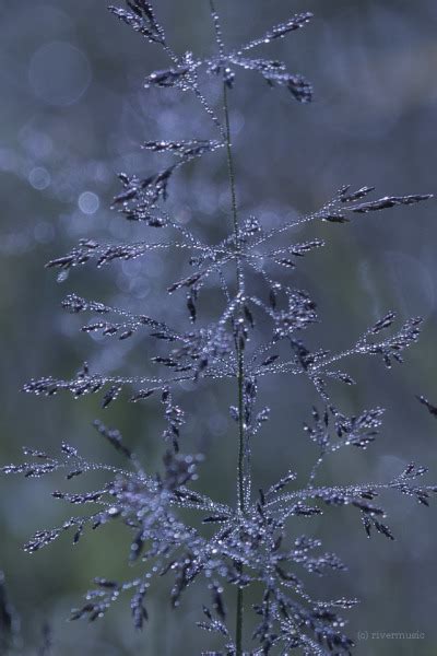 The Ts Of Morning Riverwindphotography August Tumbex
