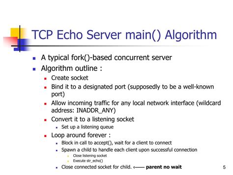 Ppt Efficient Tcp Echo Server Example Powerpoint Presentation Free