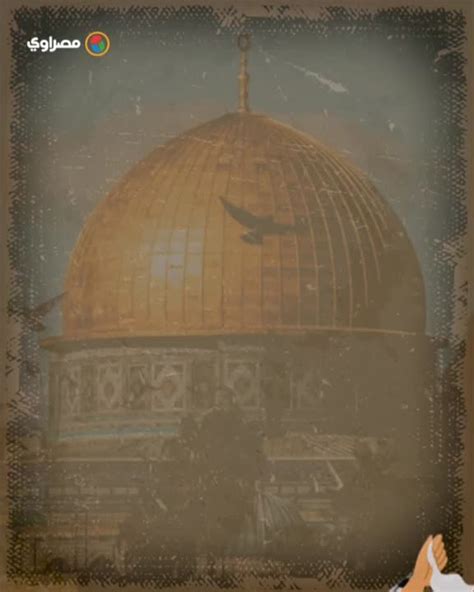 Mina Maged On Linkedin Motion Motiongraphics Editing