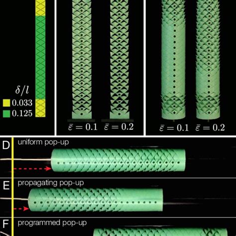 A Schematic Of Our Patterned Kirigami Surface B C Experimental Download Scientific