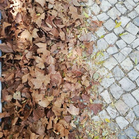 Small Yellow Box Home Facebook