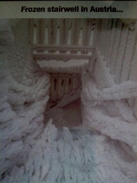 Frozen Wow Wow Frozen