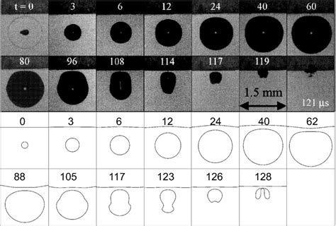 The Interaction Of A A Laser Generated Cavitation Bubble Reprinted Download Scientific