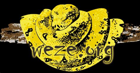 Rozmnażanie Węży Węże