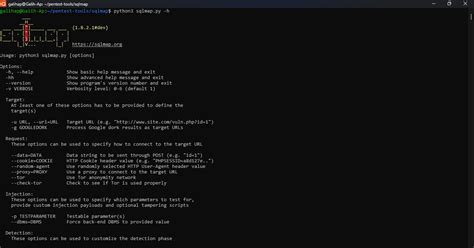 web penetration testing sql injection dengan sqlmap