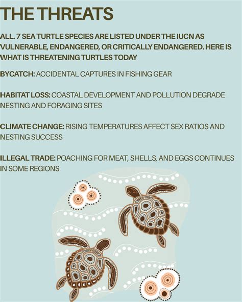 Sea Turtle Foundation Ditch The Plastic And Become Fantastic