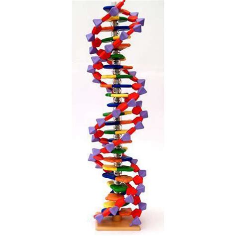 Molymod Molecular Models