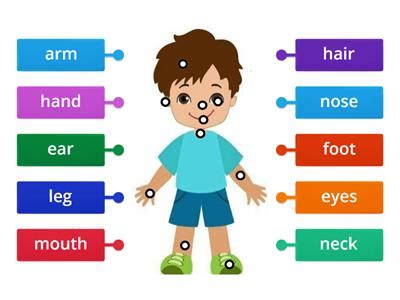 Inglés Partes Del Cuerpo Recursos Didácticos