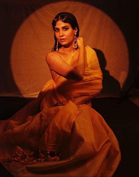 Shreya Dhanwanthary In Saree R Faptodesiactress