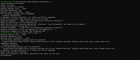 Instalasi Wordpress Nginx Pada Nat Vps Natvps Id