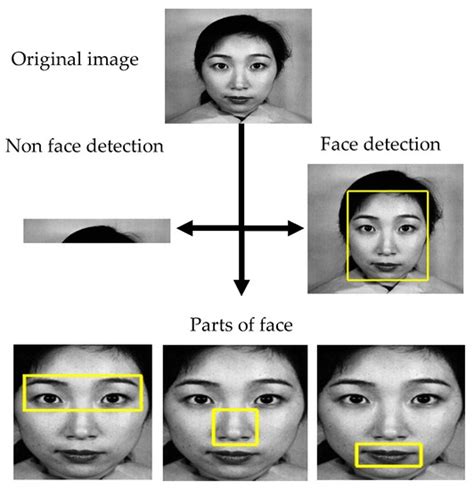 Electronics Free Full Text Improved Facial Expression Recognition Based On Dwt Feature For