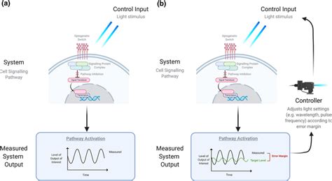 Open And Closed Loop Approaches For Optogenetics A Open Loop