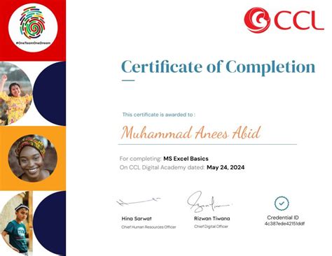Muhammad Anees Abid On Linkedin I Recently Completed An Ms Excel