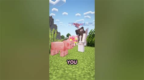 Reasons Why You Should Join Faeries Smp Today Minecraft Java Smp