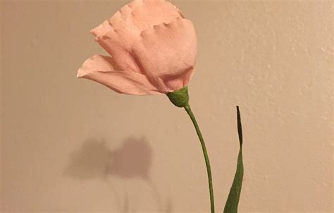 Cara Membuat Bunga Dari Kertas Origami Dengan Mudah