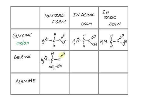 Solved 1 Draw Three Condensed Structures Of Glycine In The Following Conditions A Ionized