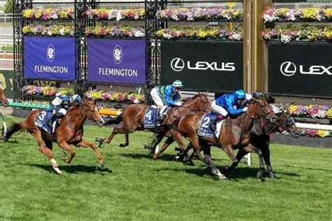 A Pattern Of Behaviour Australian Racing‘s Groundhog Day