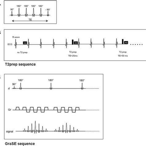 schematic illustration of t2prep and grase sequences a t2 preparation