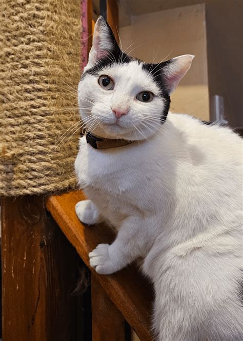 Just Showing Off Parsnips Stink Face R Cowcats