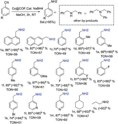 A Schematic Illustration Of The Catalytic Nitrile To Amine Conversion Download Scientific
